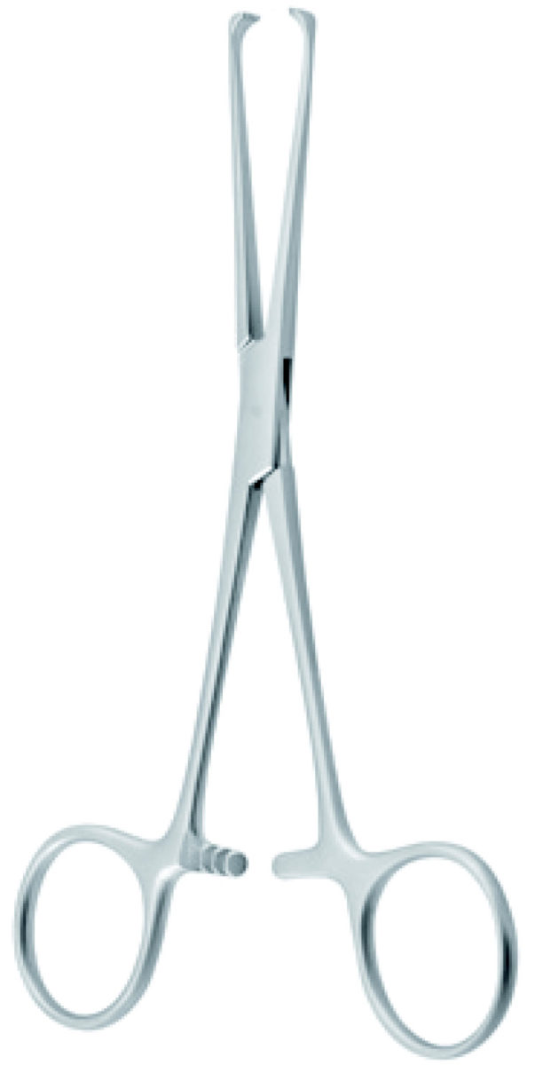 BOYS-ALLIS Intestinal and Tissue Grasping Forceps 5×6 teeth 15,5 cm, 6 ...