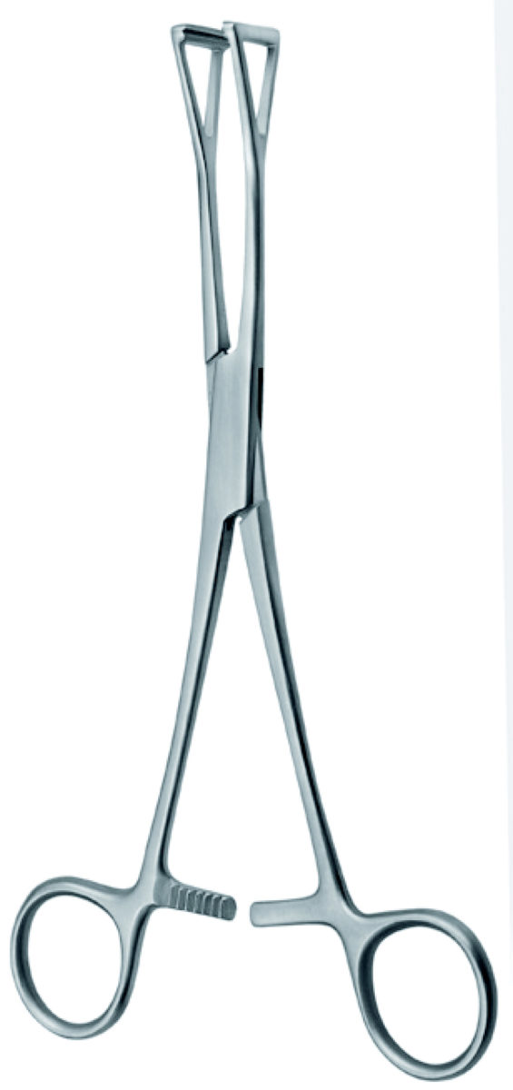 BAINBRIDGE Intestinal Clamp Forceps 15 cm, 6“ – SURGIMEN | Precision People