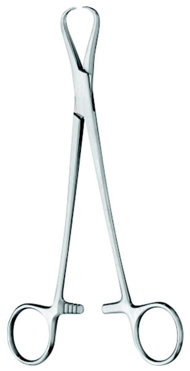 ADAIR Uterine Tenaculum Forceps 18,5 cm, 7¼“ – SURGIMEN | Precision People